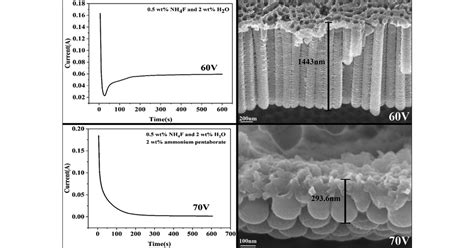 Real Role Of Fluoride Ions In The Growth Of Anodic Tio2 Nanotubes The Journal Of Physical