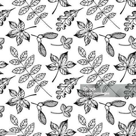 가을 잎 이음새가 없는 무늬 손으로 그린 배경 추수 감사절 배경 포장지 또는 직물 및 기타를위한 가을 디자인 연속무늬에 대한 스톡 벡터 아트 및 기타 이미지 Istock