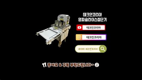 테크인코리아 양파슬라이스기계 Youtube