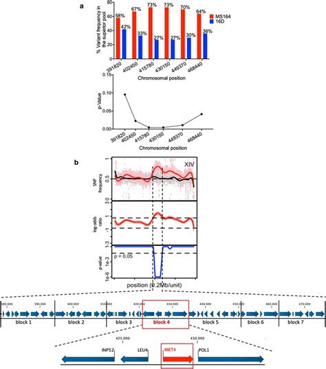 Fine Mapping And Linkage Analysis Of Qtl3 On Chromosome Xiv A Snp