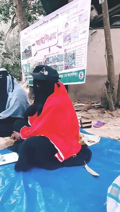 আইপিএম কৃষক মাঠ থেকে কুমিল্লা বরুড়া Nicebangladesh02 Kamalhassan Followersinstagram