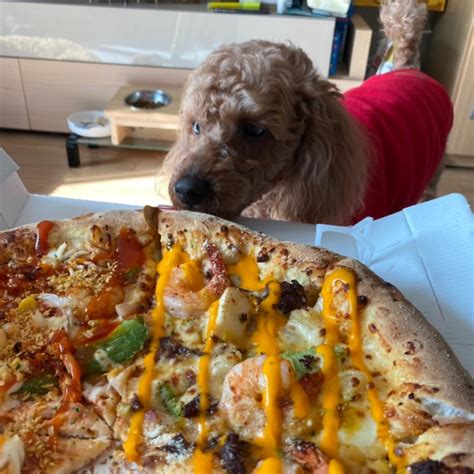 도미노피자 메뉴추천 시리얼칠리크랩 블랙타이거슈림프 하프앤하프 화요일엔 40 할인 대구 상인동맛집 진천동맛집 네이버 블로그