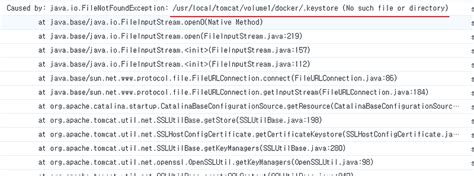 docker tomcat에 ssl 인증서 적용 key 역방향 프록시