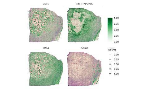 Surface Plotting • Spata2