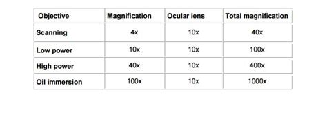 Intro Operating Procedure Of Compound Light Microscope System In 10