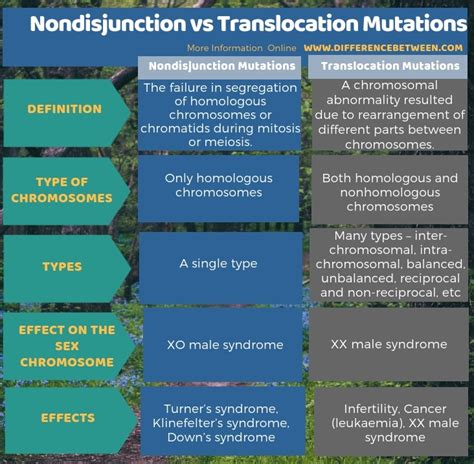 Nondisjunction Mutation