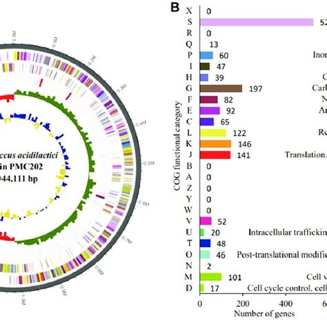 High Throughput Genome Sequencing Results Of P Acidilactici Strain Download Scientific Diagram