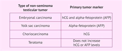 Testicular Cancer Causes Symptoms Diagnosis And Treatment