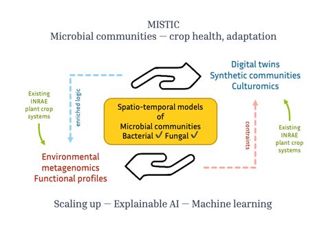Computational Models Of Crop Plant Microbial Biodiversity Pepr Agroecology And Ict