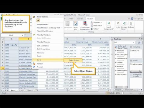 Sap Analysis For Microsoft Office Training Ritnoa