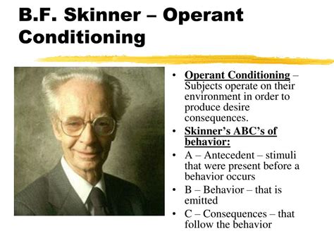 Skinner Operant Conditioning Theory