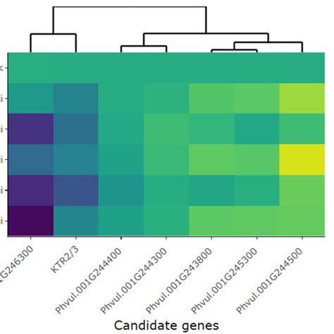 Heatmap Of The Relative Expression Of Candidate Genes For The Co Ac And
