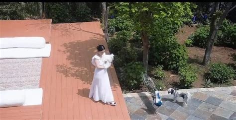 霍思燕开箱新家挨批炫富 宫殿级豪宅大到养孔雀 娱乐 国外娱乐 中港台