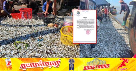 ប្រជាពលរដ្ឋ ដែលមានបំណងធ្វើប្រហុក ផ្អក ត្រីឆ្អើរ ឬទឹកត្រី អាចរួសរាន់មកទិញត្រីក្នុងខេត្តកណ្តាល