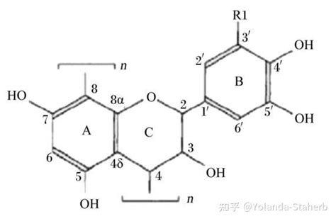 无处不在的单宁酸 你了解多少呢 知乎