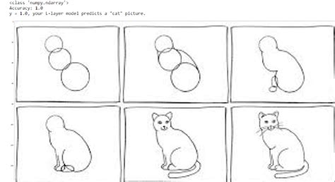 What Is The Deep Learning How I Built A Small Project On Cat