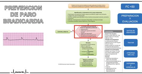 Dr Re Algoritmo De Bradicardia Acls Tema Completo En