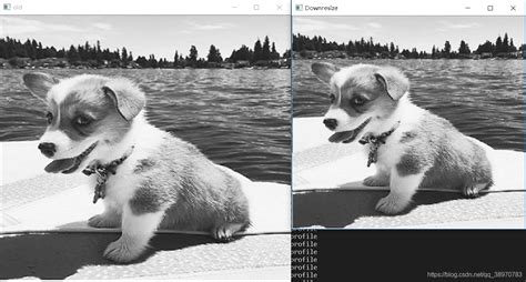 （自己编写函数）python Opencv 图像几何变换缩小、放大、内凹，外凸，梯形变形、三角型变形、s型变形、图片旋转、图片平移