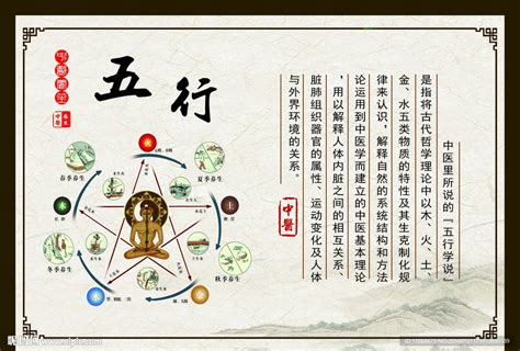 中医五行图 中医养生设计图 广告设计 广告设计 设计图库 昵图网
