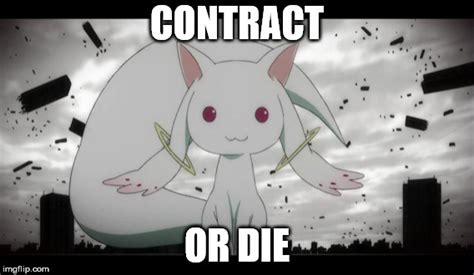 Kyubey Contract Meme