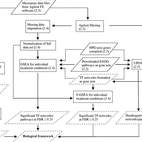 The Data Analysis Flowchart Parallelograms Are Data Sets Usedproduced