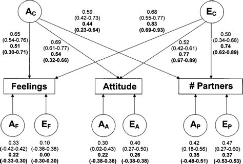Path Diagram Showing Latent Genetic And Environmental Influences On The