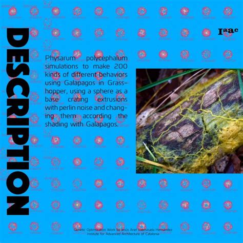 genetic optimization physarum polycephalum iaac blog