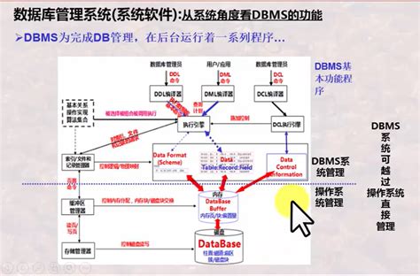 用户 和系统 两个角度对数据库管理系统的理解 Csdn博客
