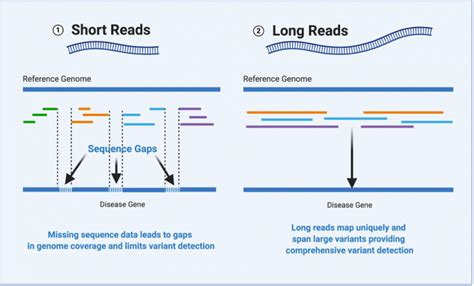 Geneyx Long Read Sequencing Analysis Geneyx