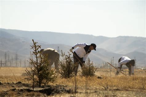 ТЭЭВЭР ХӨГЖЛИЙН БАНК “ТЭРБУМ МОД” ҮНДЭСНИЙ ХӨДӨЛГӨӨНД НЭГДЭН ОРОЛЦЛОО