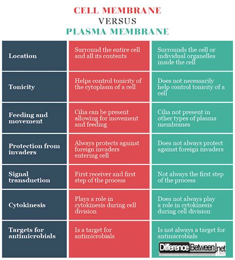 Difference Between Cell Membrane And Plasma Membrane Difference Between