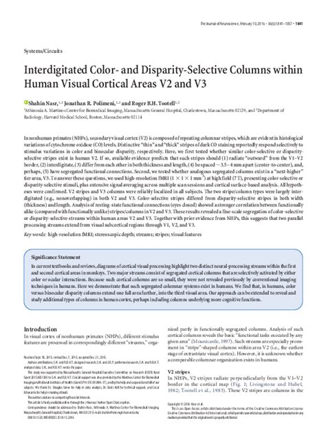 Pdf Interdigitated Color And Disparity Selective Columns Within Human Visual Cortical Areas