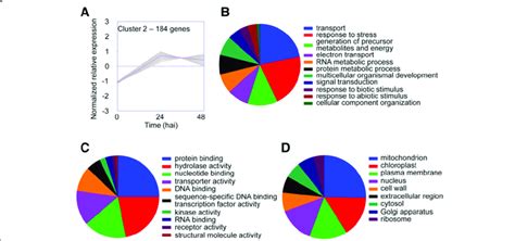 Go Terms Associated With Unigenes In Expression Cluster 2 A K Means
