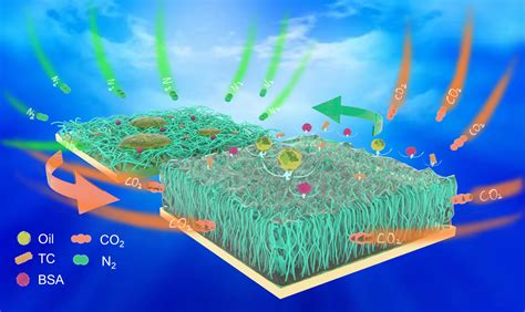 scalable and switchable co2 responsive membranes with high wettability for separation of various
