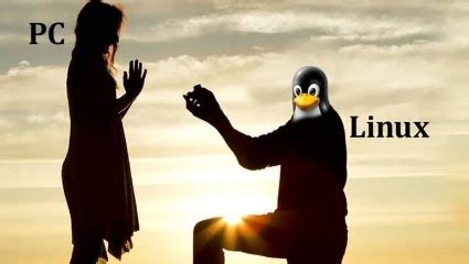 Linux And Windows Differences And Similarities PediaInfo Com