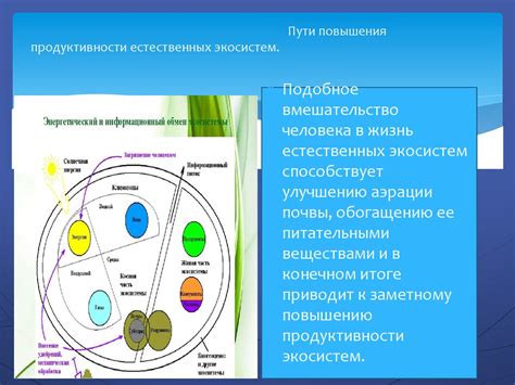 Пути повышения биологической продуктивности в искусственных экосистемах презентация онлайн