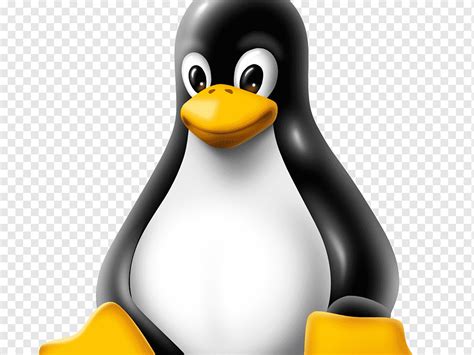 Linux Kernel Security Hacker Linux Vertebrate Bird Linux Png Pngwing