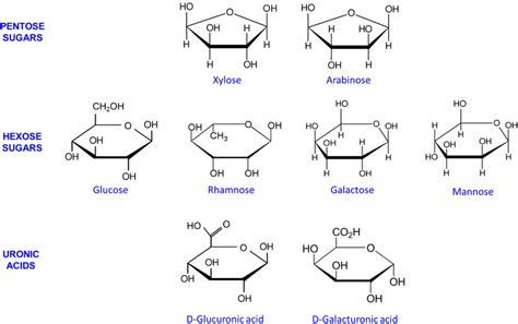 Sugar Molecular Structure
