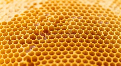Close Up Of A Honeycomb Showcasing Its Intricate Hexagonal Cells The Wax Stock Illustration