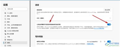 Edge浏览器如何开启网页翻译？ Edge浏览器开启网页翻译的方法 极光下载站