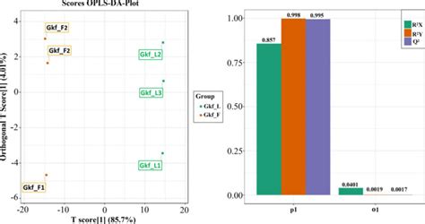 Integrated Transcriptome And Targeted Metabolome Analyses Provide Insights Into Flavonoid