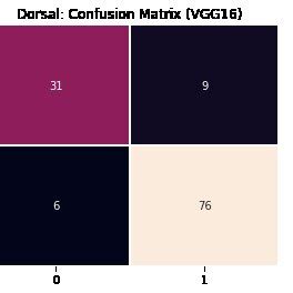 Gender Recognition Performance On JU HD Top Accuracy And Bottom Download Scientific Diagram