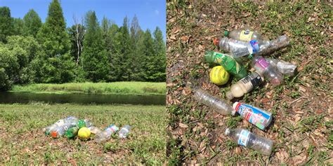 Single Use Life Creative Pinellas