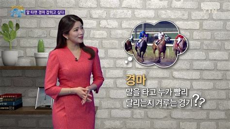 재미있는 낱말풀이 욕심은 끝이 없다더니 말 타면 경마 잡히고 싶다 YTN KOREAN YouTube