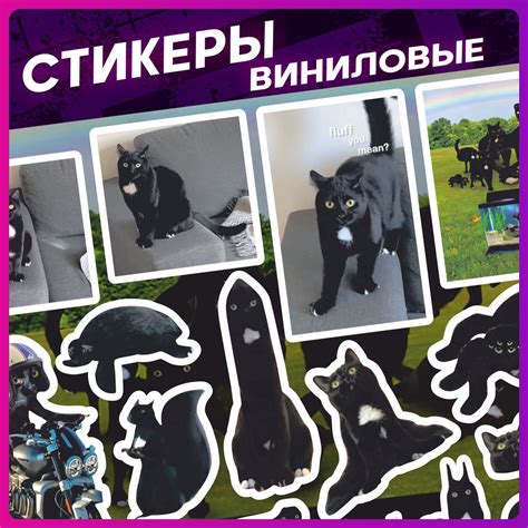 Стикеры на телефон набор наклеек мемный кот Андреа купить с доставкой по выгодным ценам в