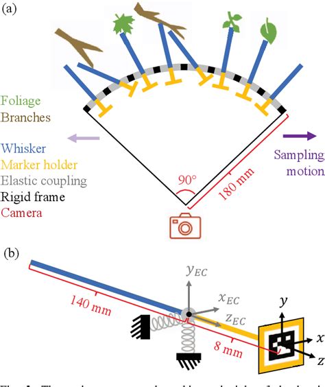 Figure From Whisker Based Haptic Perception System For Branch Detection In Dense Vegetation