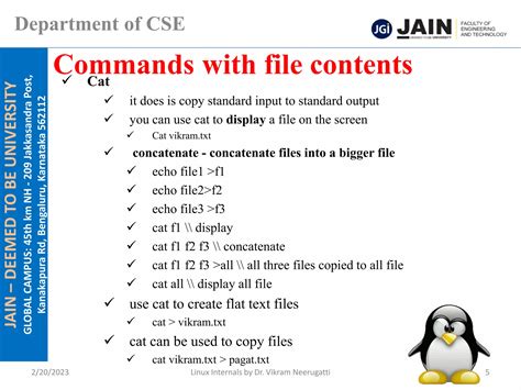 Linux File Trees And Commands PDF