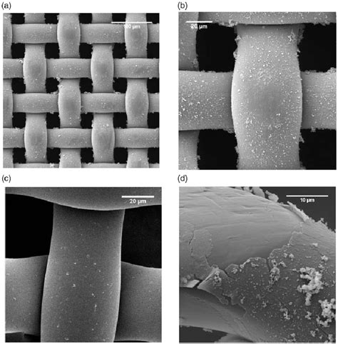 Figure 1 From Improving Emi Shielding Effectiveness And Dielectric Properties Of Polyaniline