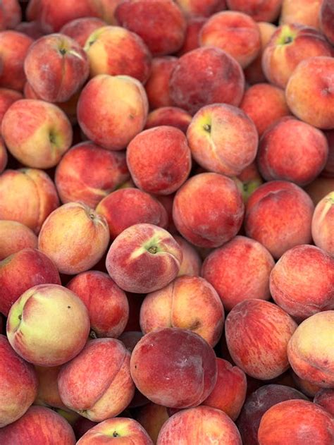 건강한 건강한 식생활 계절 과수원 과일 과즙이 많은 노란색 노점 농업 농작물 농장 다이어트 달콤한 맛있는 매끄러운 밝은 벚나무 복숭아 복숭아