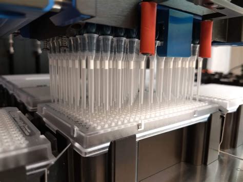 Hpv Genotype And Cervical Cancer Screening Nci